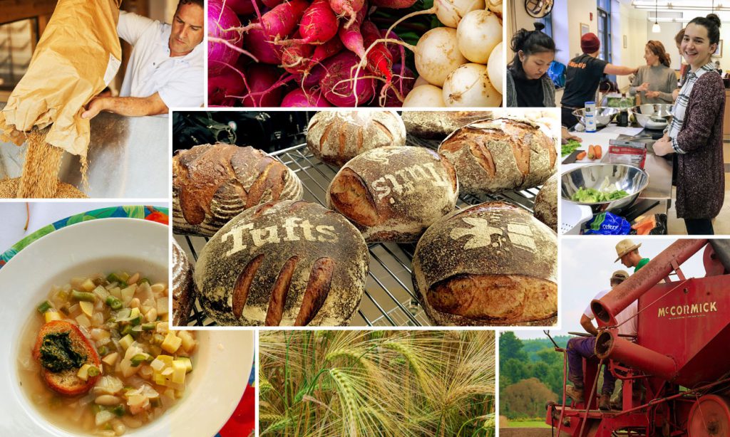 Tufts Food Lab | Food Lab